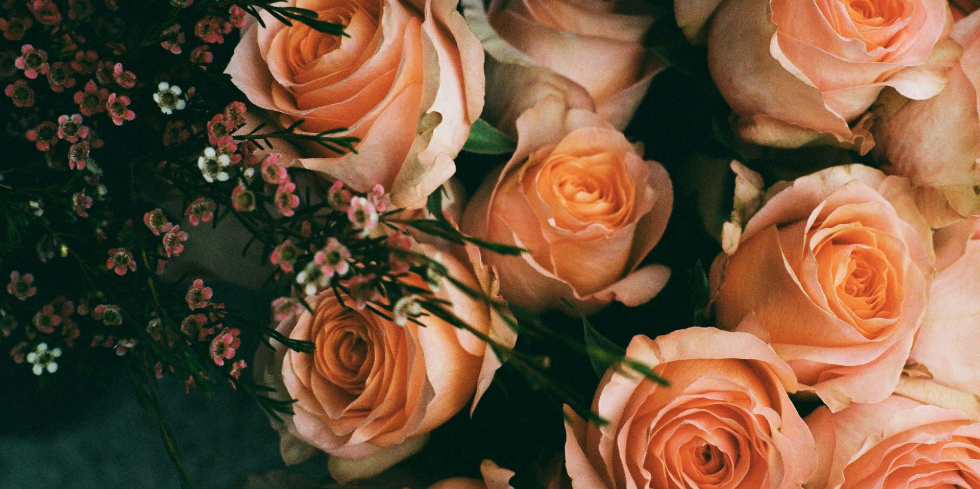 featured – Hi! I'm Deanna